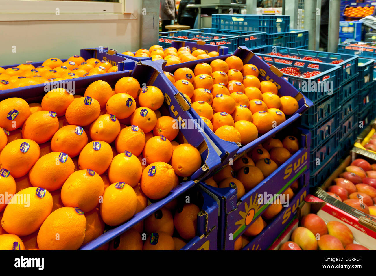 Fresh oranges in cardboard boxes in the wholesale for fresh produce ...