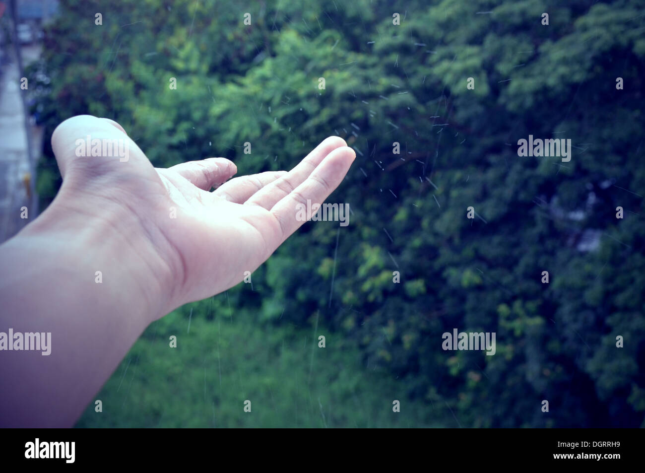 Hand in the rainy season Stock Photo - Alamy