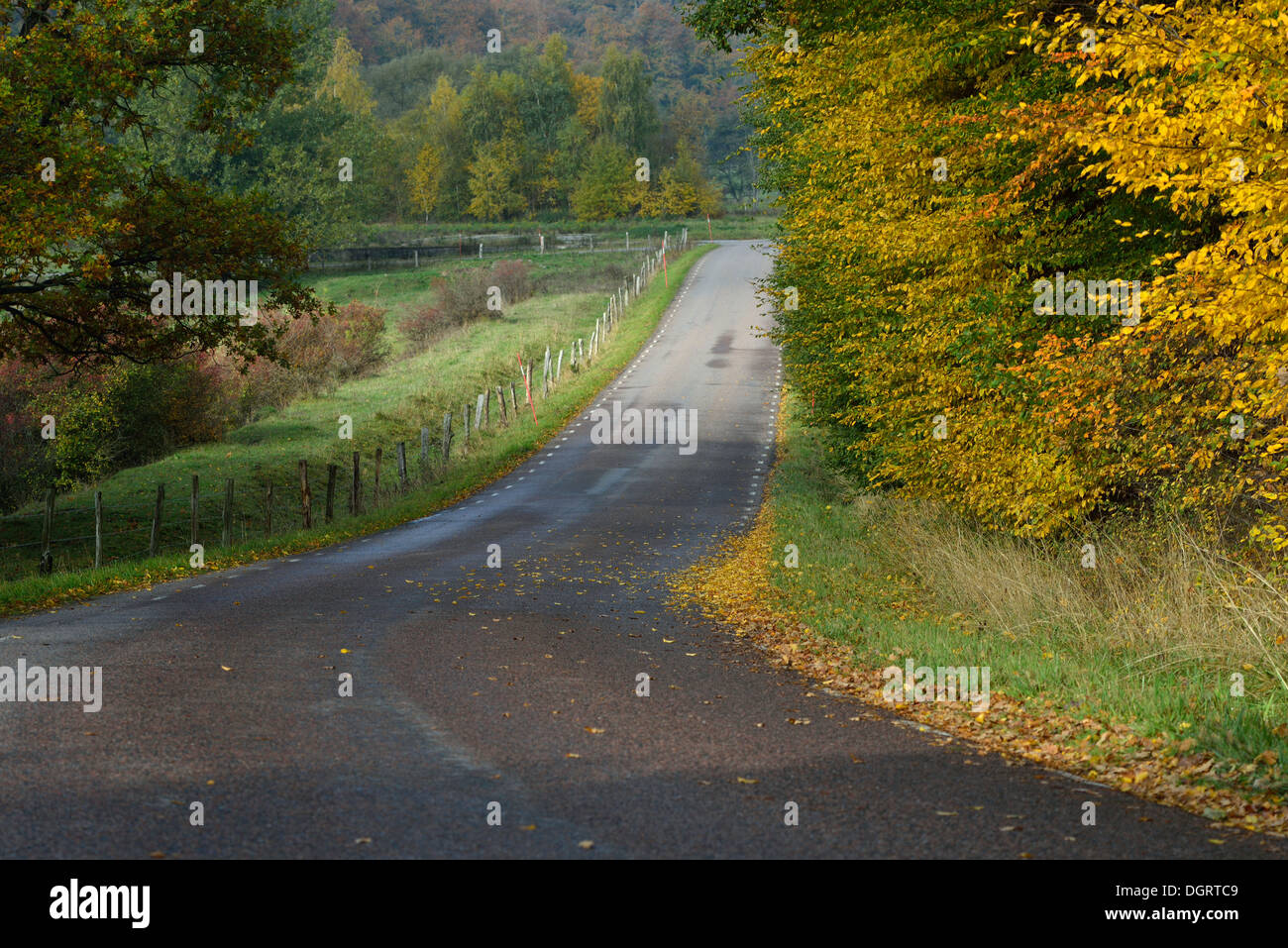 Local road in Fyledalen valley with autumn colours Stock Photo - Alamy