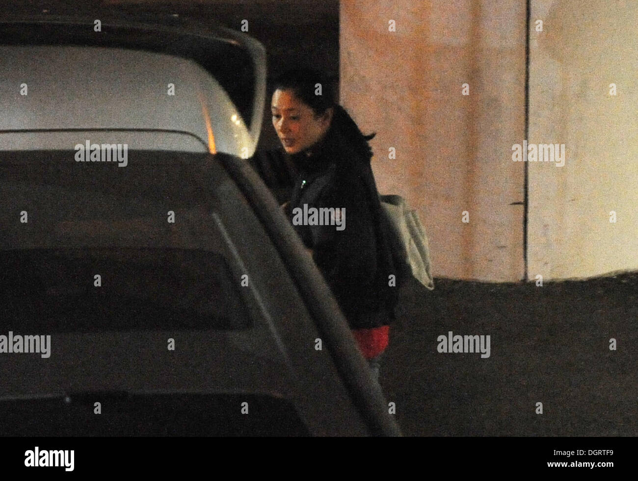 Beijing, China. 18th Oct, 2013. Director Chen Kaige and wife Chen Hong ...