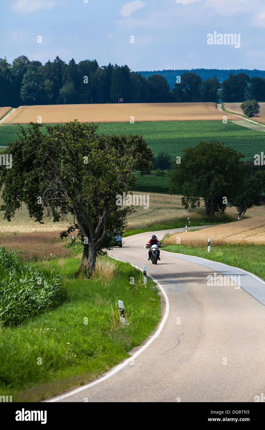 Motorcyclist travelling on a country road, Baden-Wuerttemberg ...