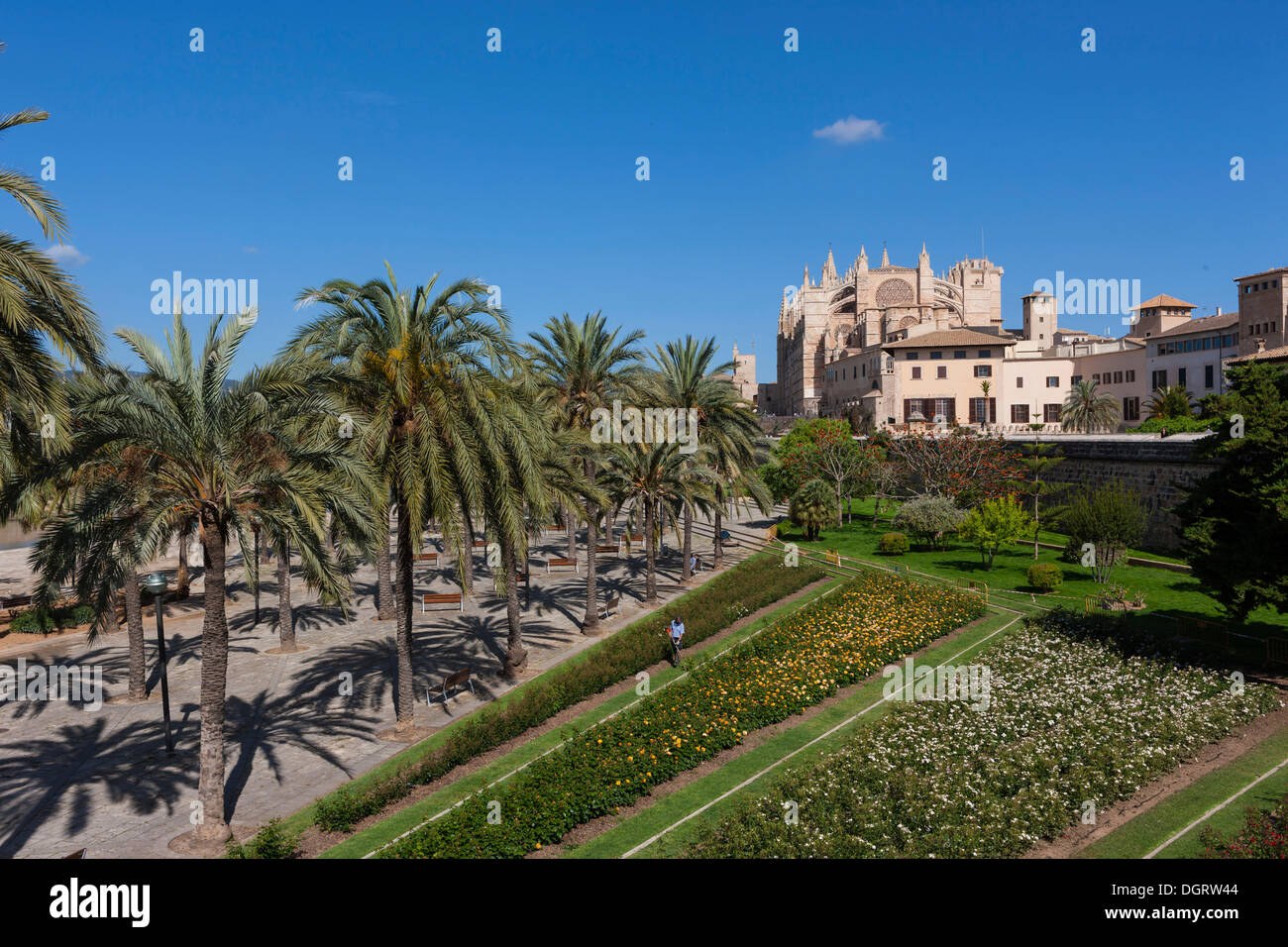 Palma de mallorca landmarks hi-res stock photography and images - Alamy