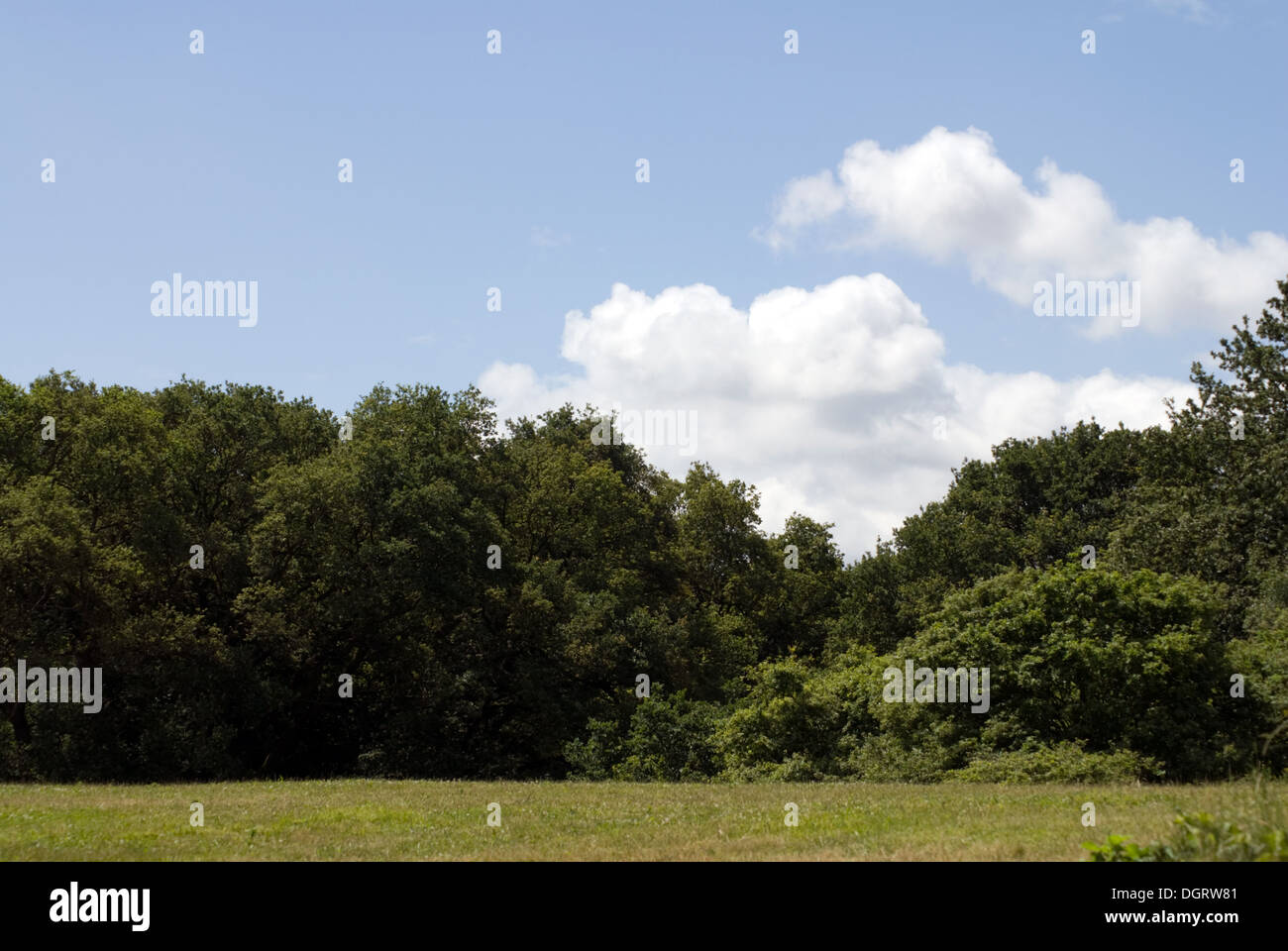 English summer landscape hi-res stock photography and images - Alamy