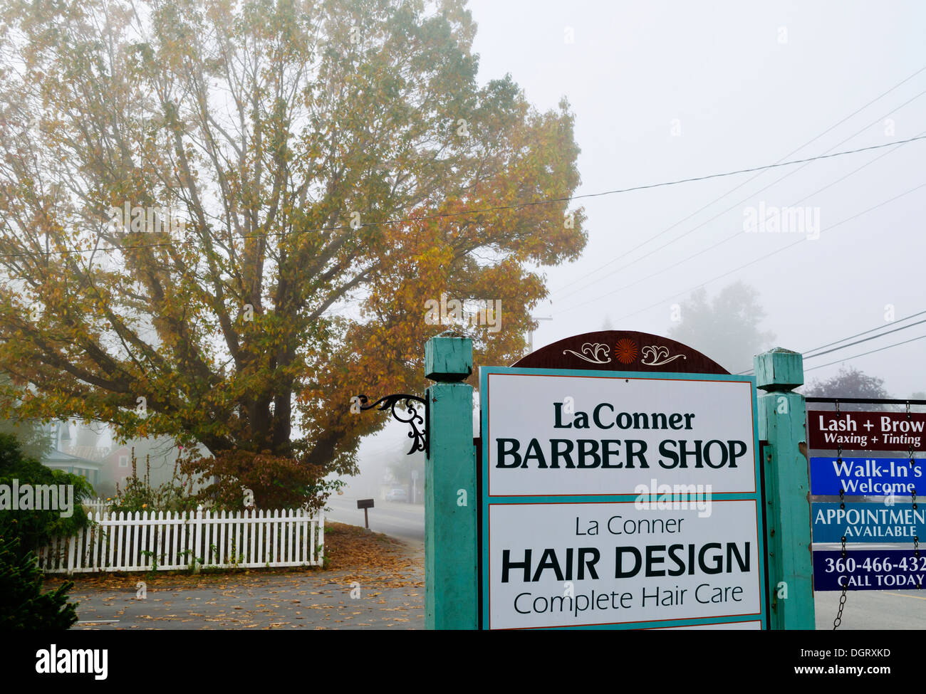Retail signs in rural town of La Conner, Washington. Large tree in the ...