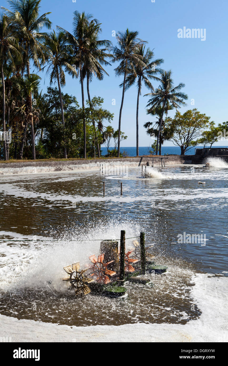 Farm water basin hi-res stock photography and images - Alamy