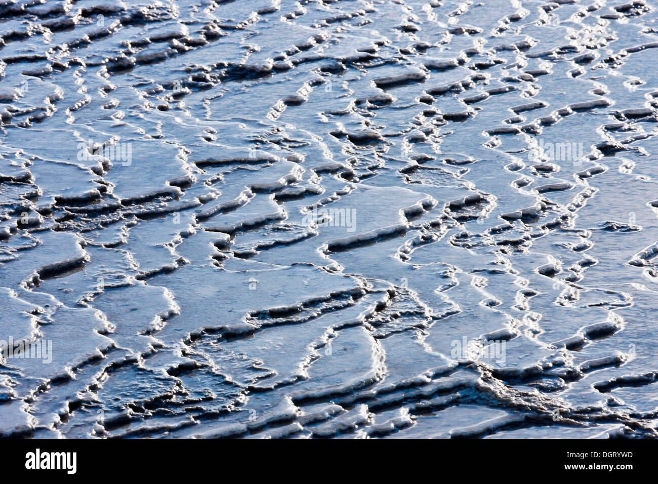 Detail of the sinter terrace of the Meyrarauga hot water pool, in the ...