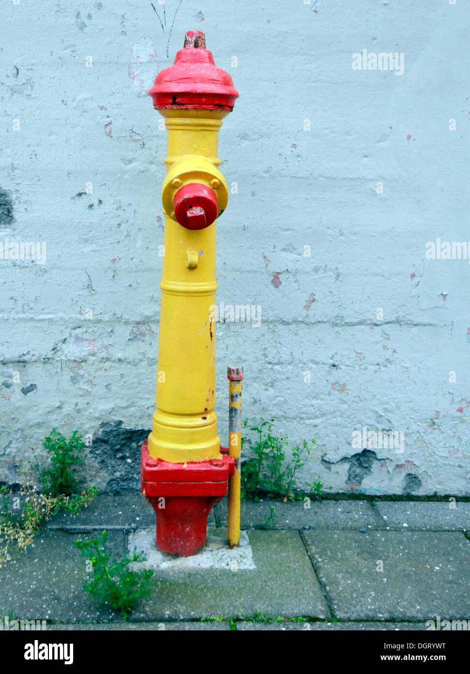 Fireplug, Reykjavik, Iceland, Europe Stock Photo - Alamy