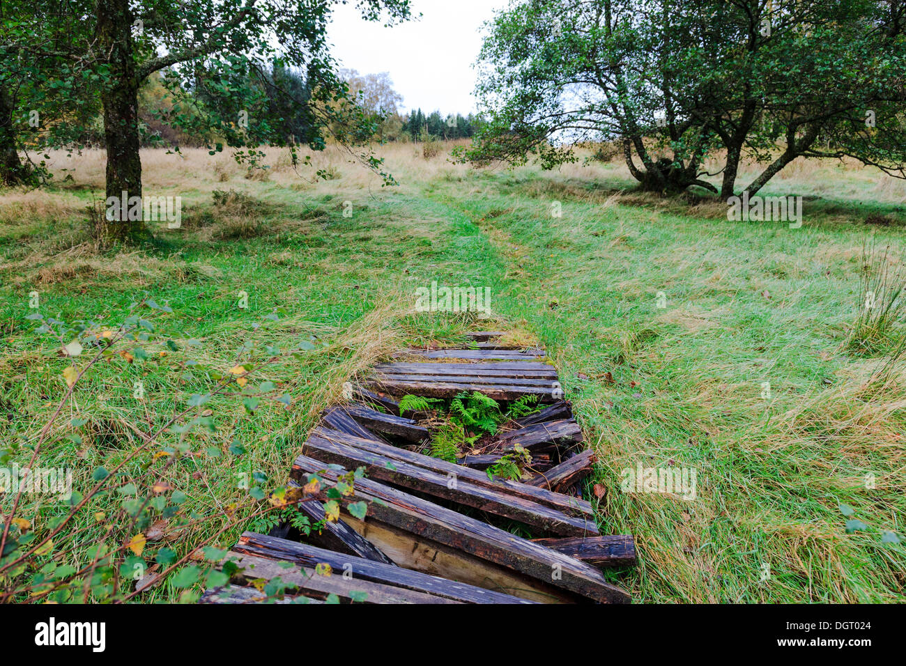 Old wooden footbridge Stock Photo - Alamy