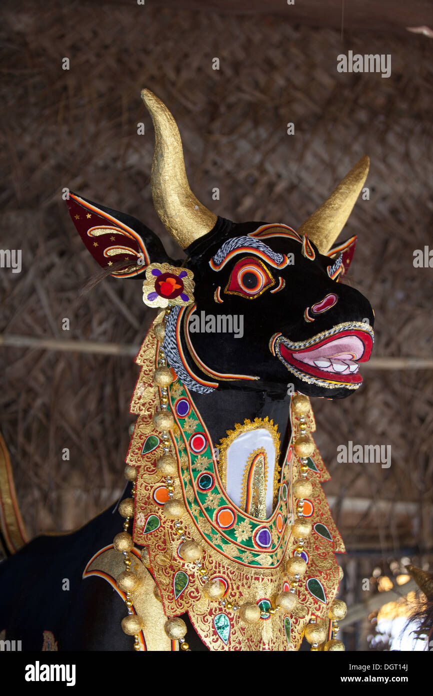 Cremation bull ceremony religious Bali Indonesia detail decoration ...