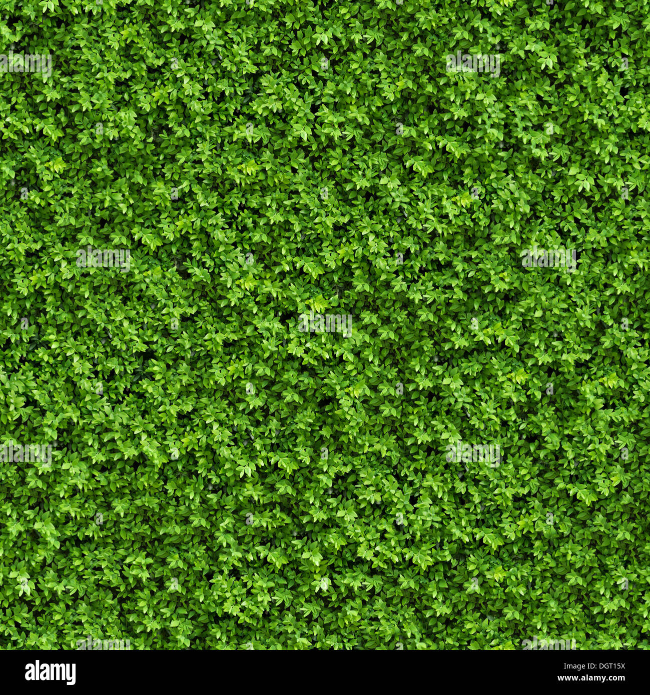 Rustic texture pattern seamless hi-res stock photography and images - Alamy