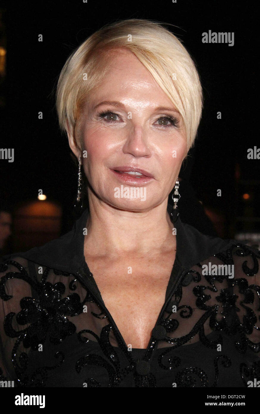 New York, USA. 24th Oct, 2013. Actress ELLEN BARKIN arrives for the ...