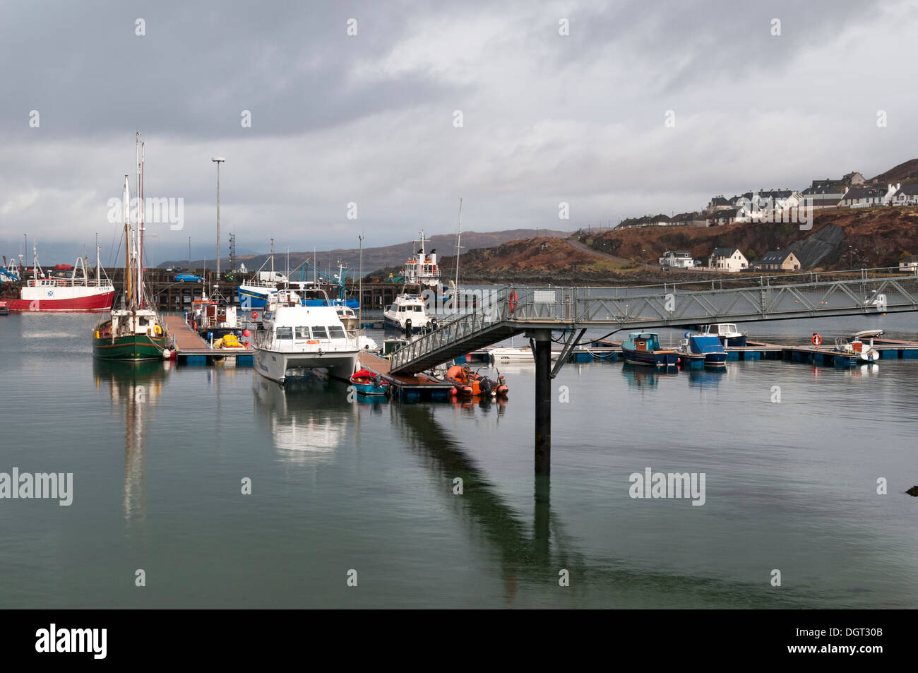 The marina at Mallaig harbour, Highland region, Scotland, UK Stock ...