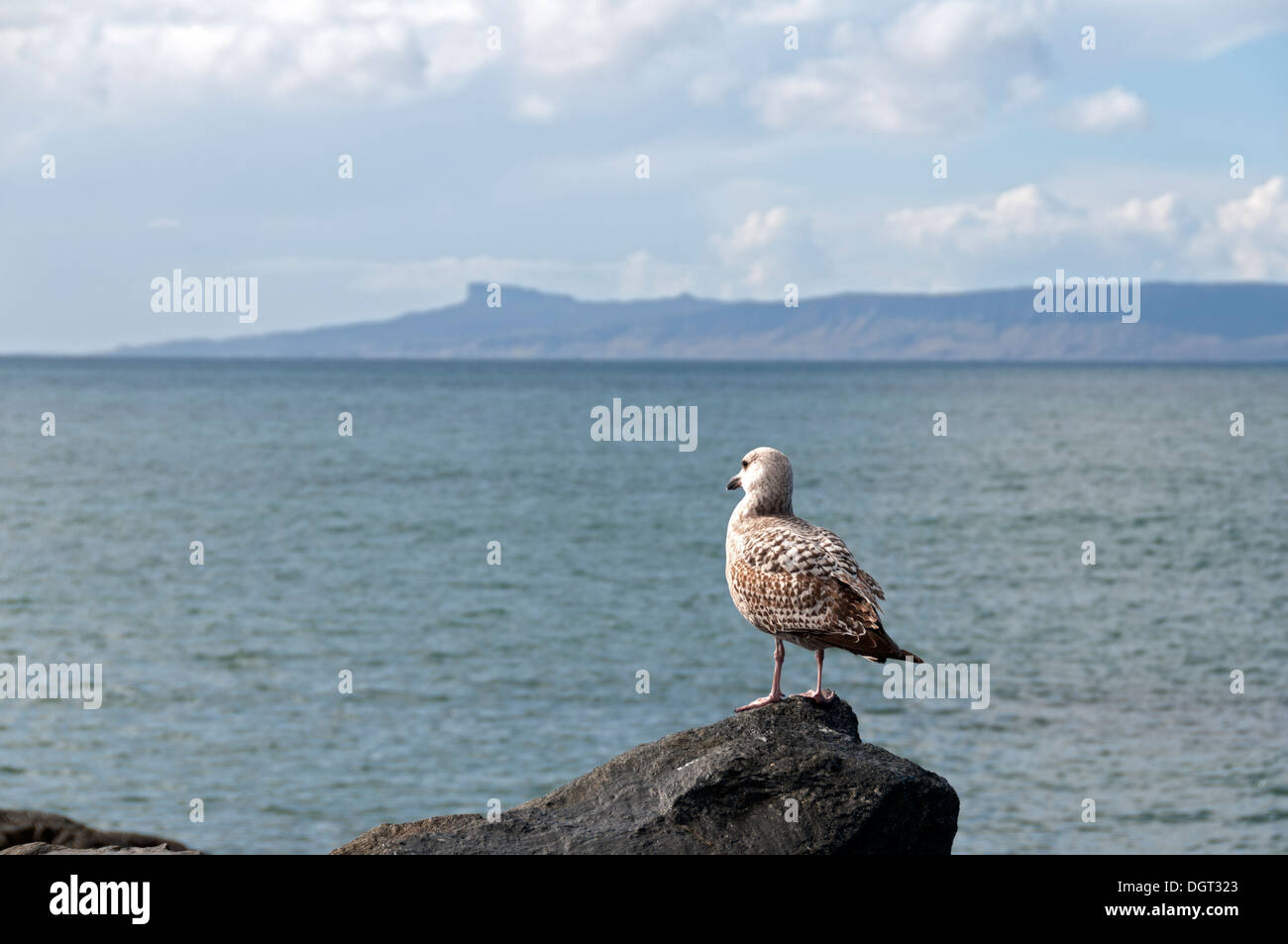 Mallaig and eigg hi-res stock photography and images - Alamy
