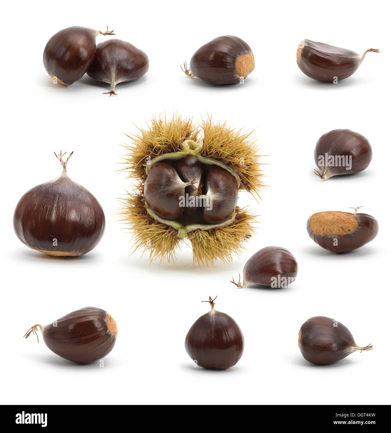 selection of chestnuts Stock Photo - Alamy