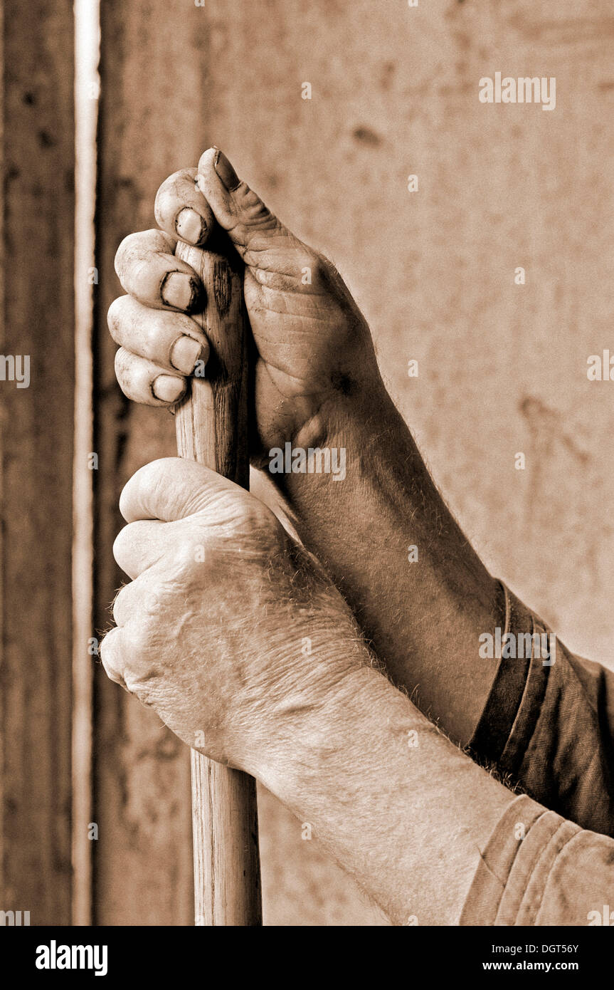 Hard work hi-res stock photography and images - Alamy