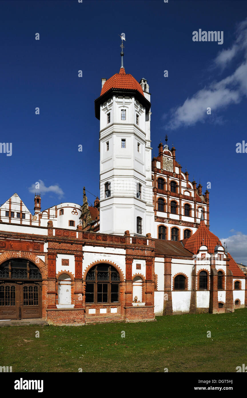 Schloss Basedow Castle, Basedow, Mecklenburgische Schweiz, Mecklenburg ...