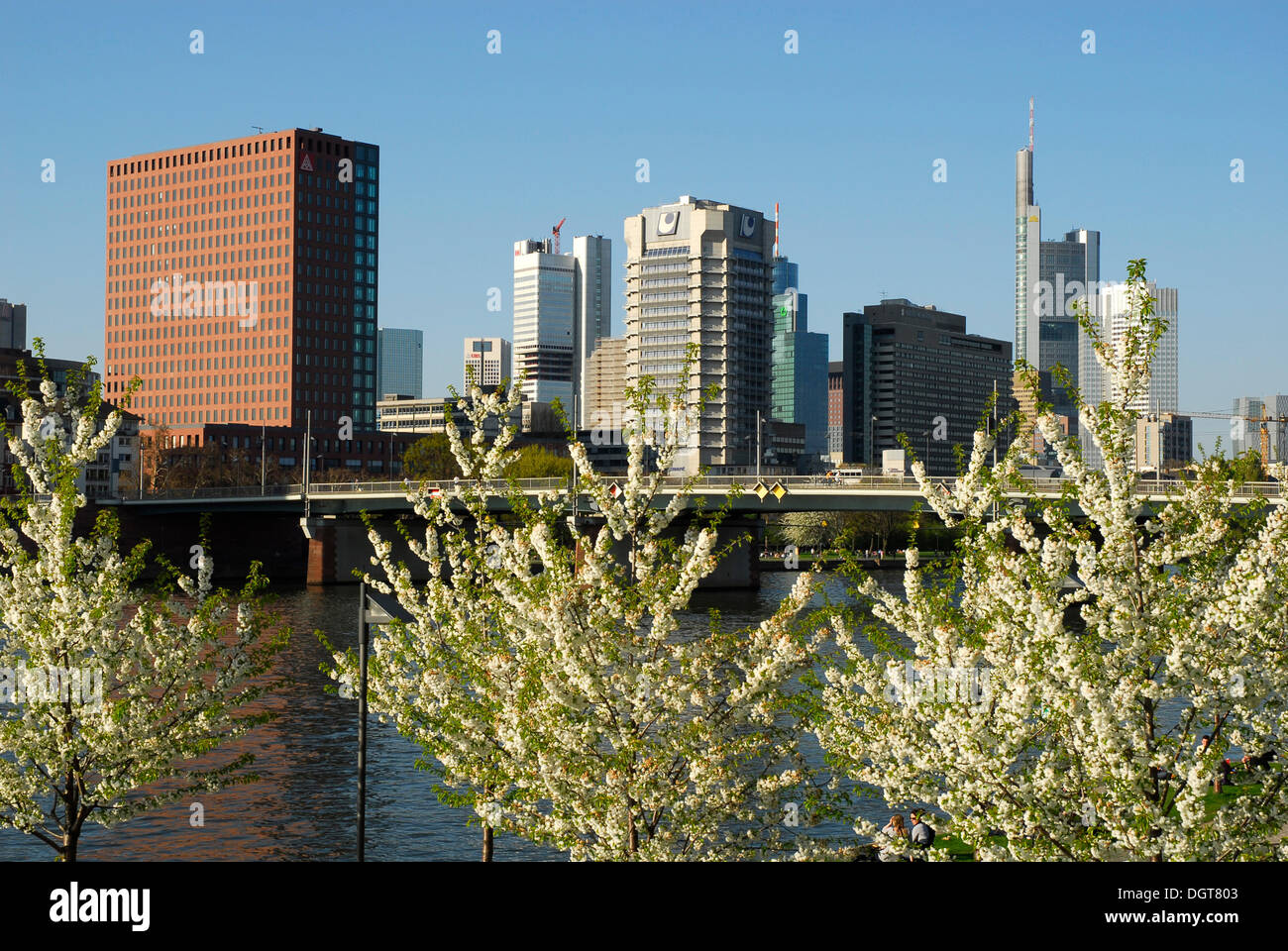 Riverside riverside riverside riverside trees hi-res stock photography ...