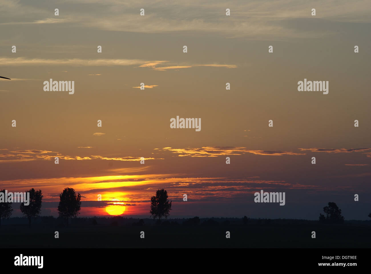 Sky over corn field hi-res stock photography and images - Alamy