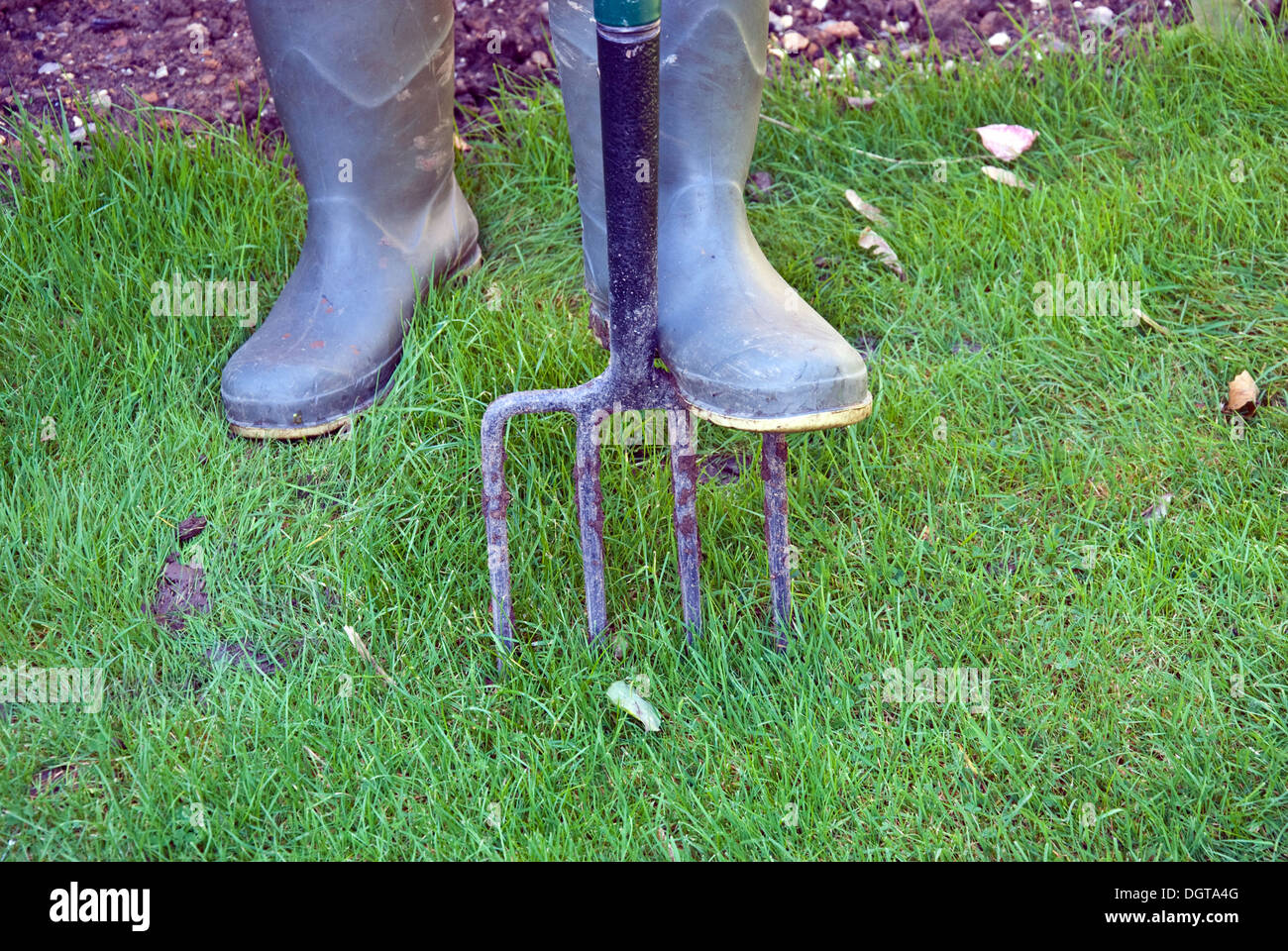 Grass lawn fork hi-res stock photography and images - Alamy