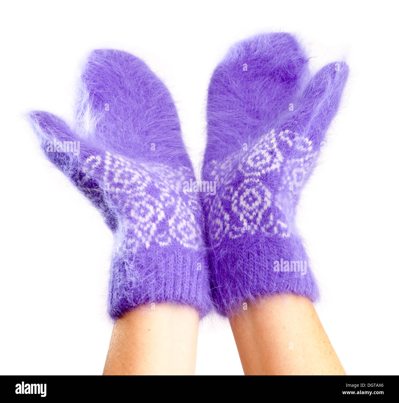 Lilac in winter Cut Out Stock Images & Pictures - Alamy