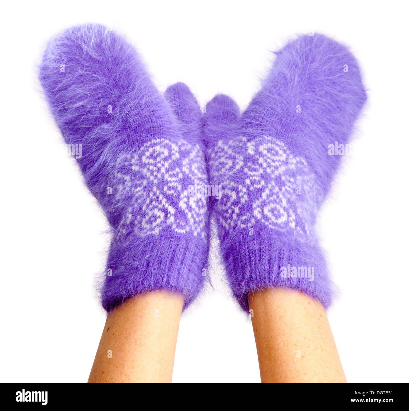 Lilac in winter Cut Out Stock Images & Pictures - Alamy