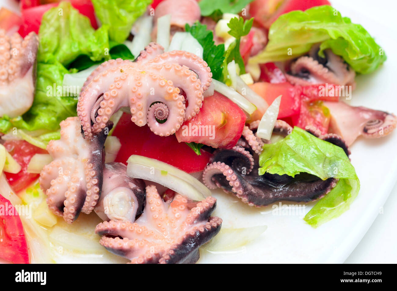 Octopus leg hi-res stock photography and images - Alamy