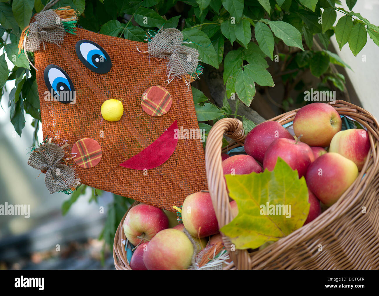 Dresden, Germany. 22nd Oct, 2013. ILLUSTRATION - Apples and a ...