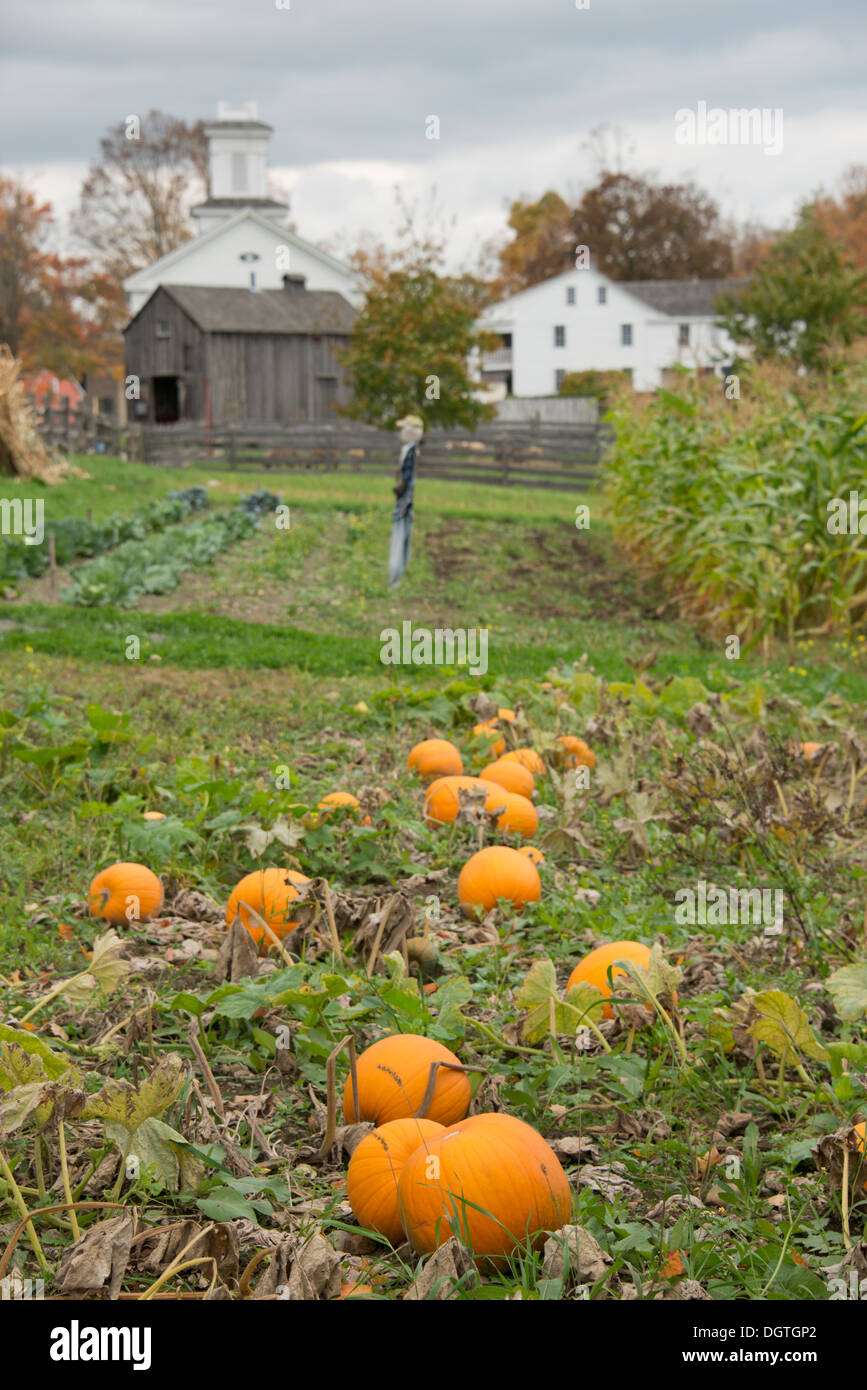 New york cooperstown farmers museum hi-res stock photography and images ...