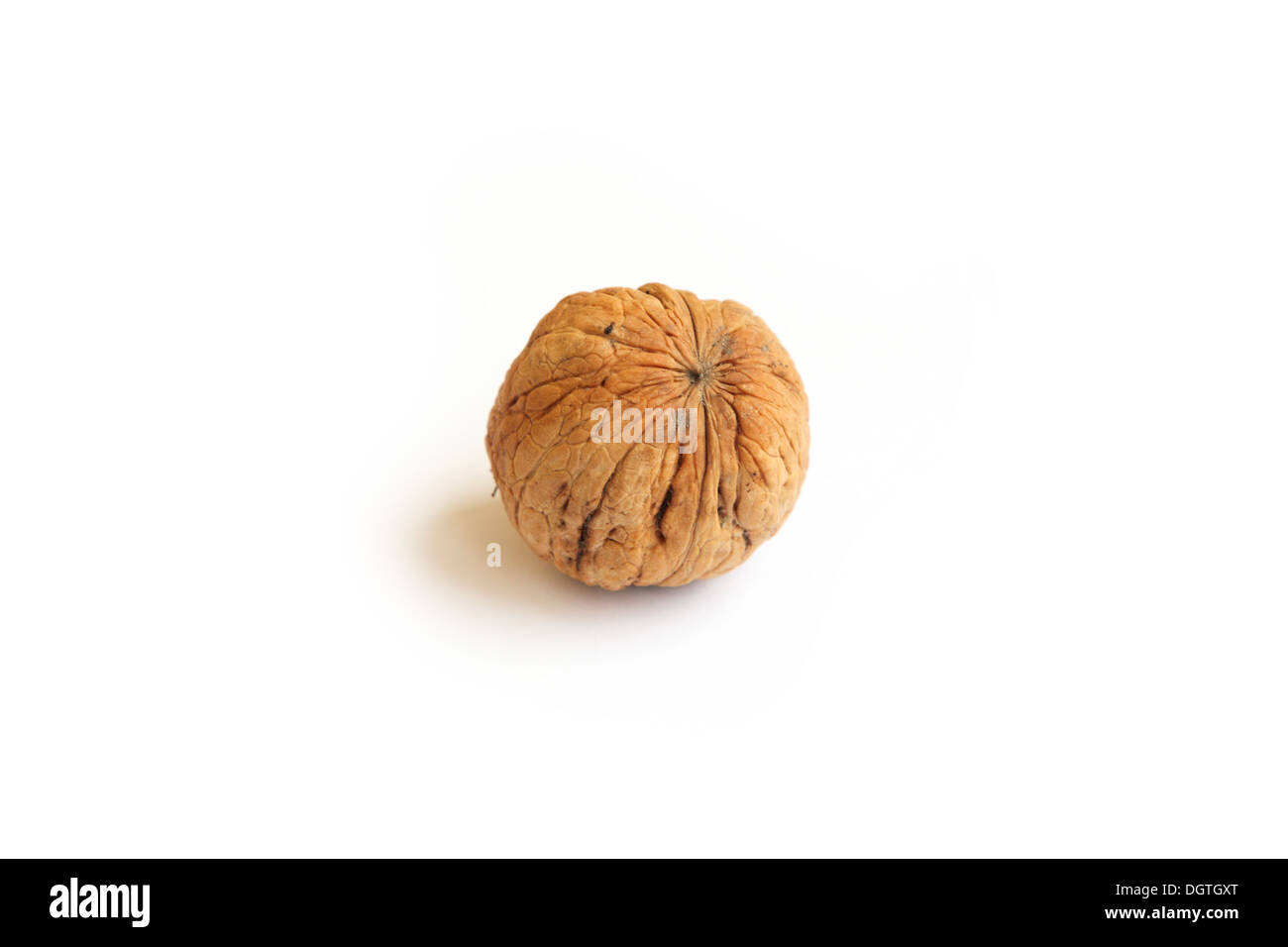 walnut isolated on white background Stock Photo - Alamy