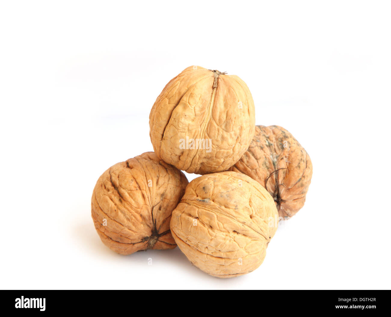 walnut isolated on white background Stock Photo - Alamy