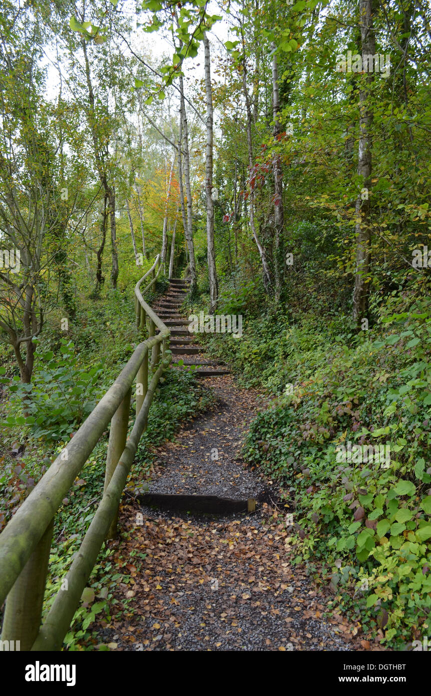 Pathway hand rail hi-res stock photography and images - Alamy