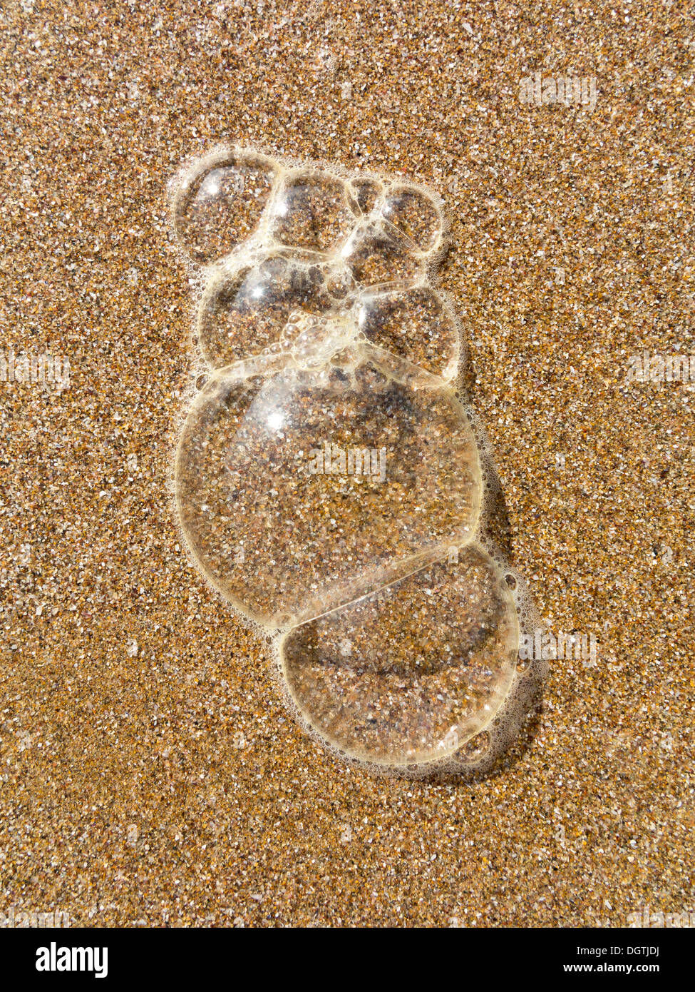 Close up of surf bubbles on a beach just showing flat sand surface and ...