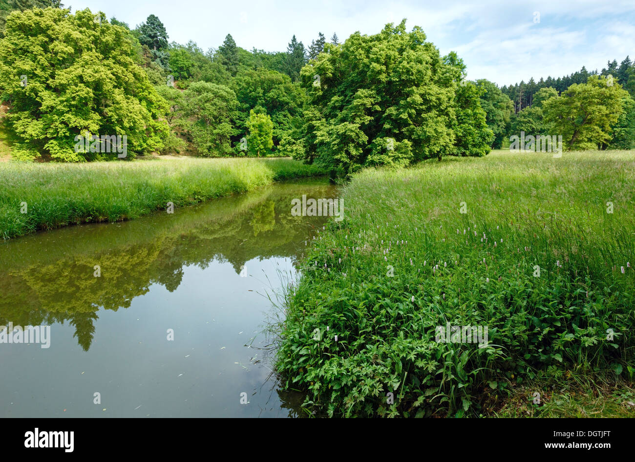 Summer landscape with canal and grassland Stock Photo - Alamy