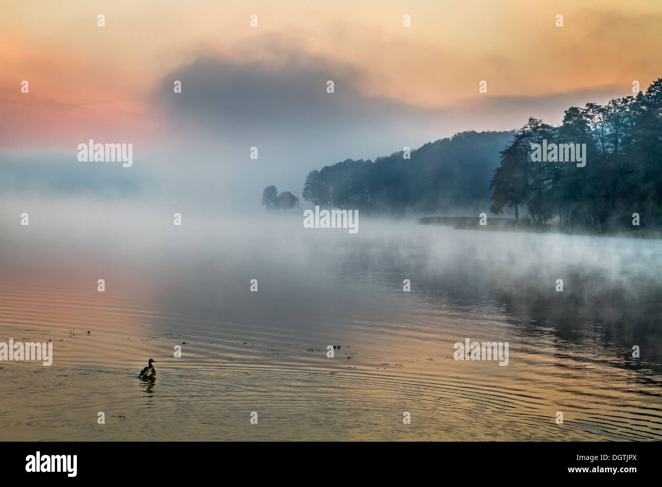 Foggy september morning over rural hi-res stock photography and images ...