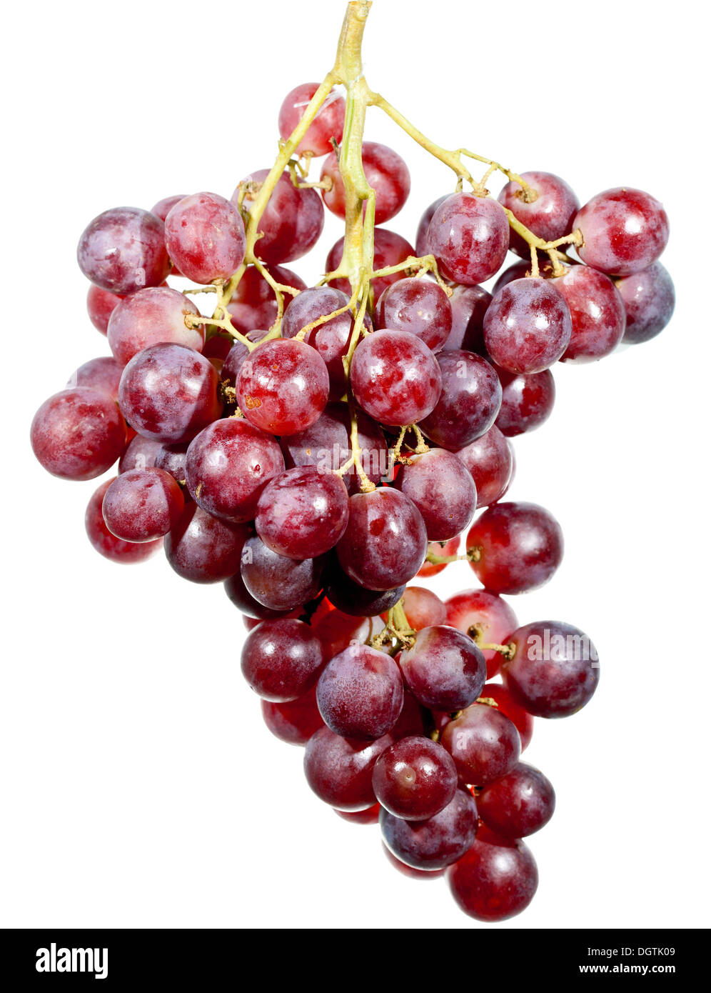Cluster grapes hi-res stock photography and images - Alamy