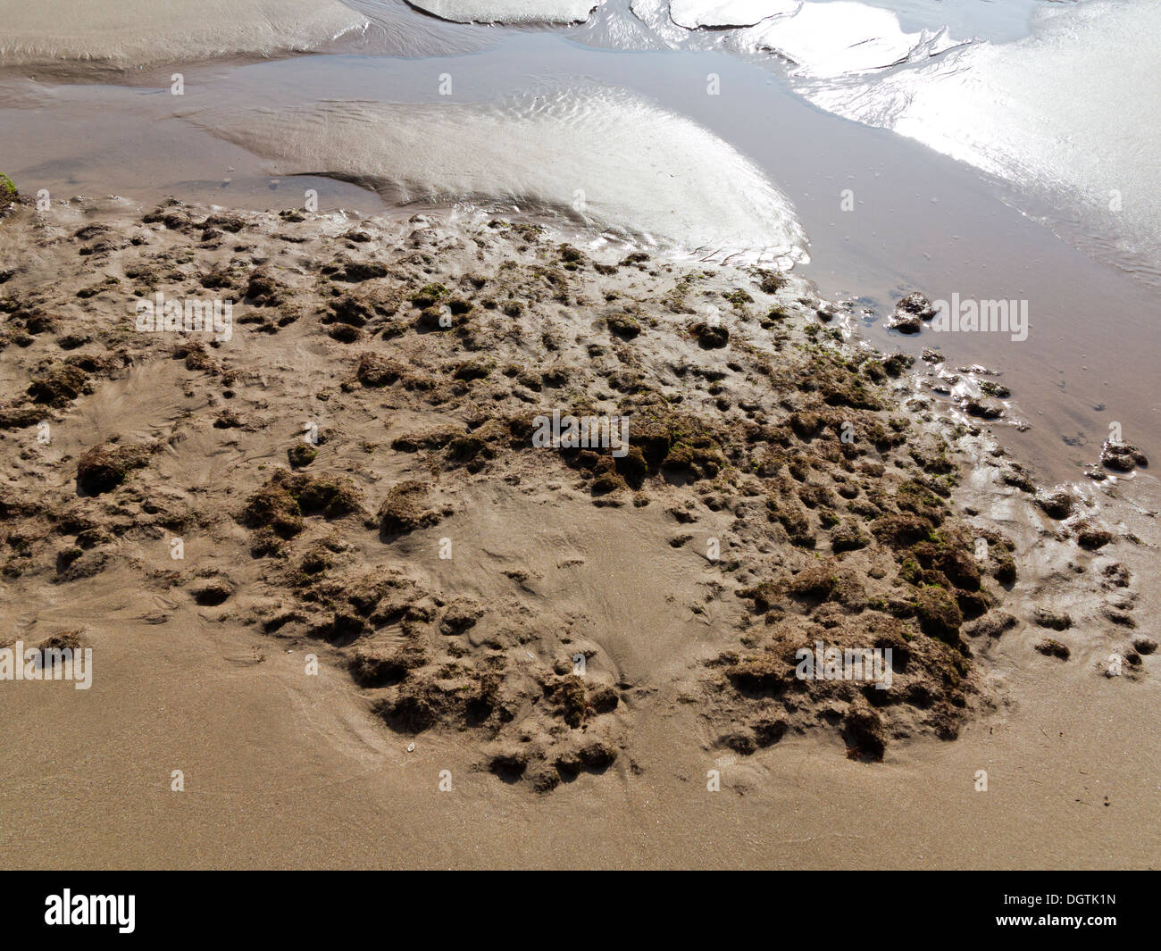 Pool water texture hi-res stock photography and images - Alamy