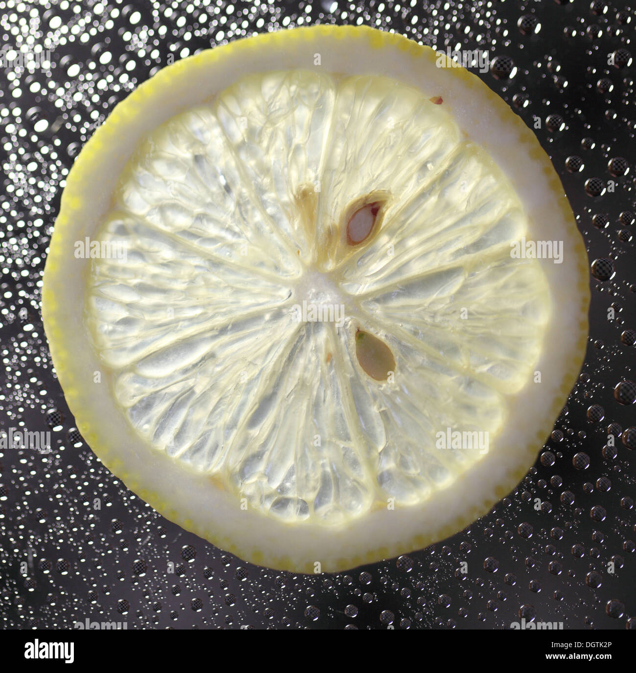Ring in the circle of lemon water droplets Stock Photo - Alamy
