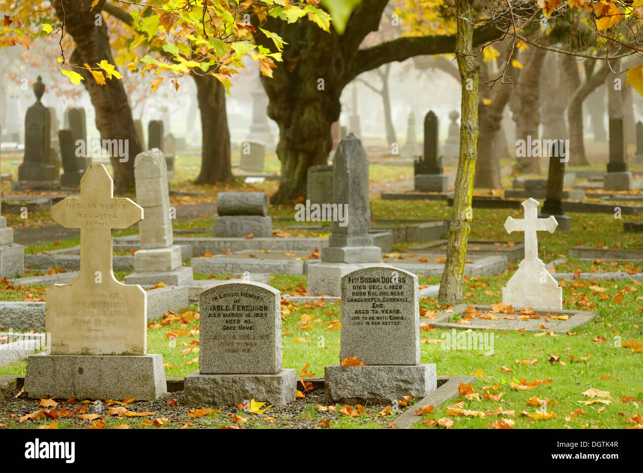Victoria ross bay cemetery hi-res stock photography and images - Alamy