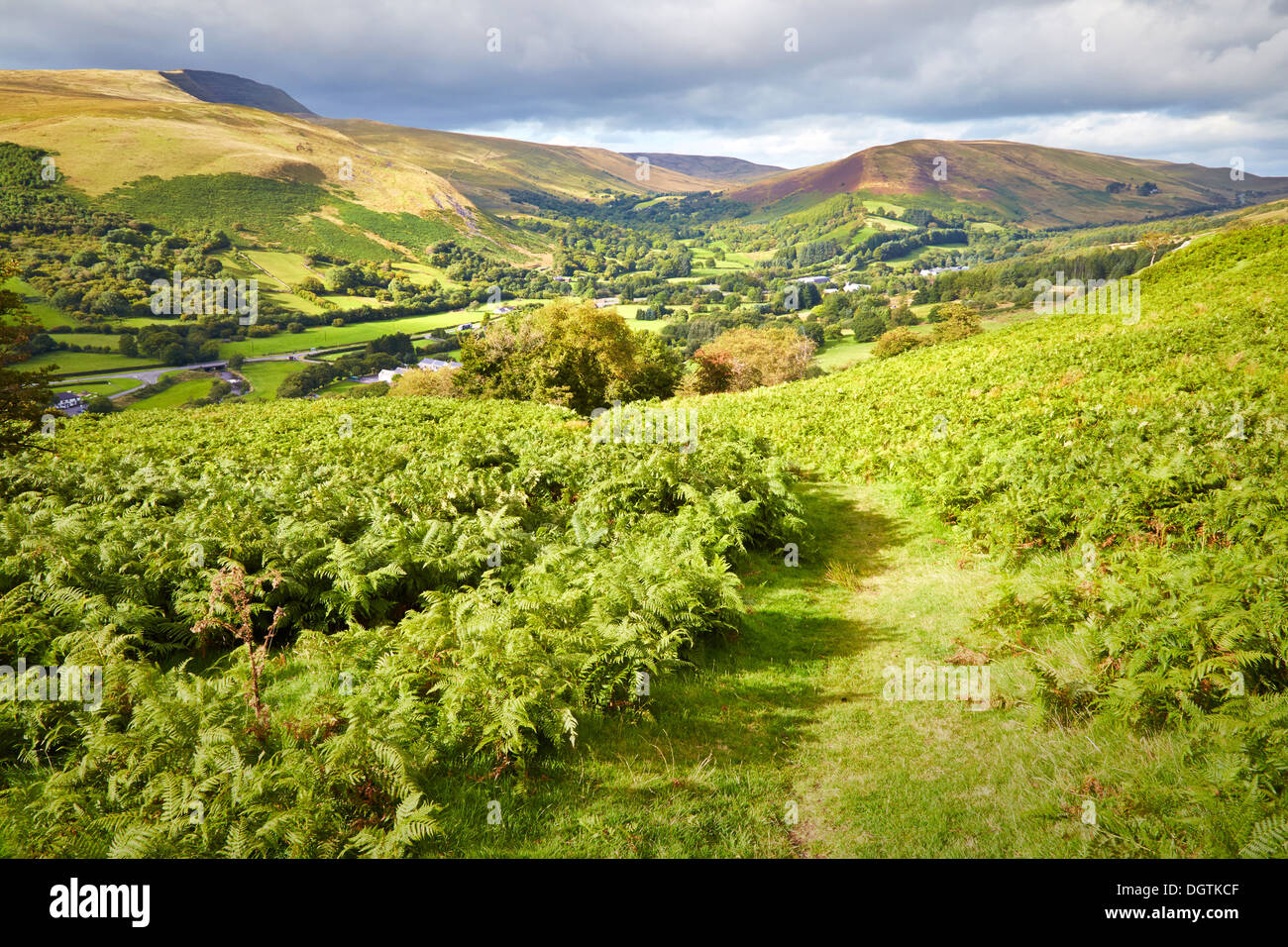 Tawe valley hi-res stock photography and images - Alamy