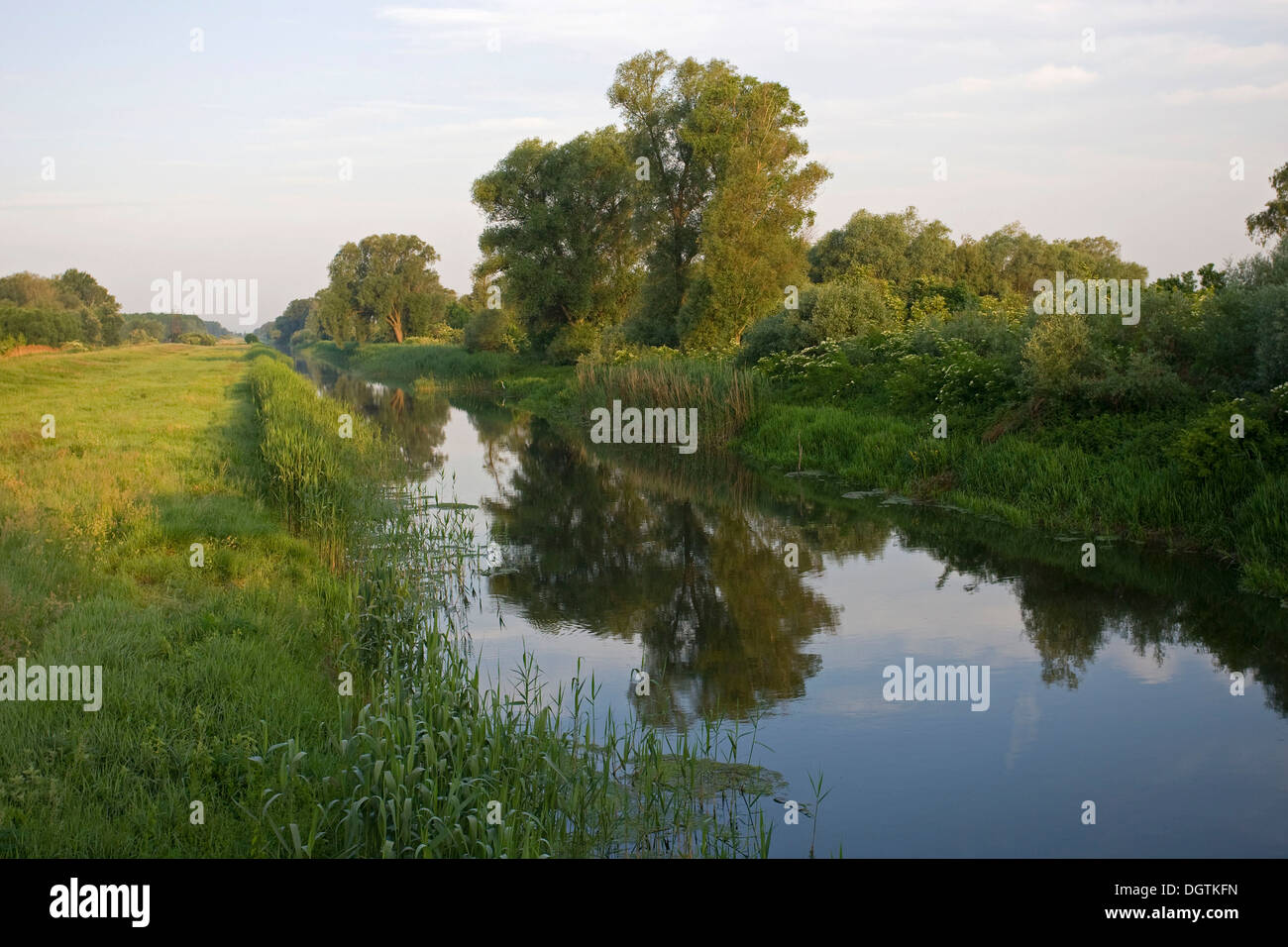 Einserkanal canal near the village of Andau, view from the bridge ...