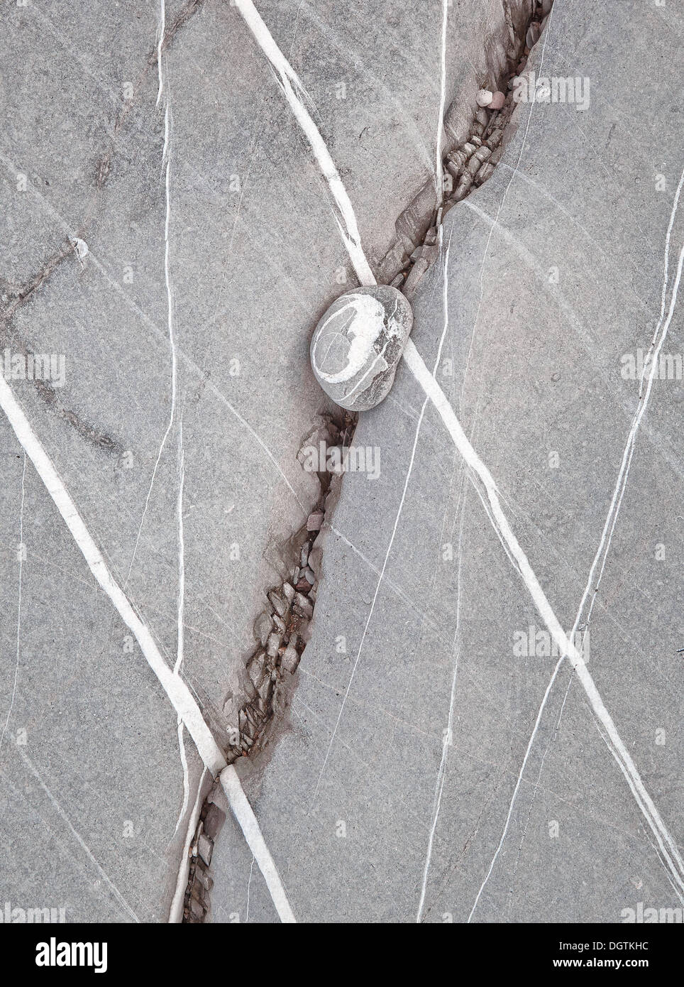 Quartz banding in Blue Lias limestone with pebble Stock Photo - Alamy