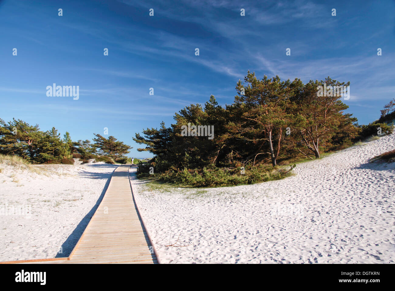 Jetty and white sandy beach on the south coast of Dueodde, Bornholm ...