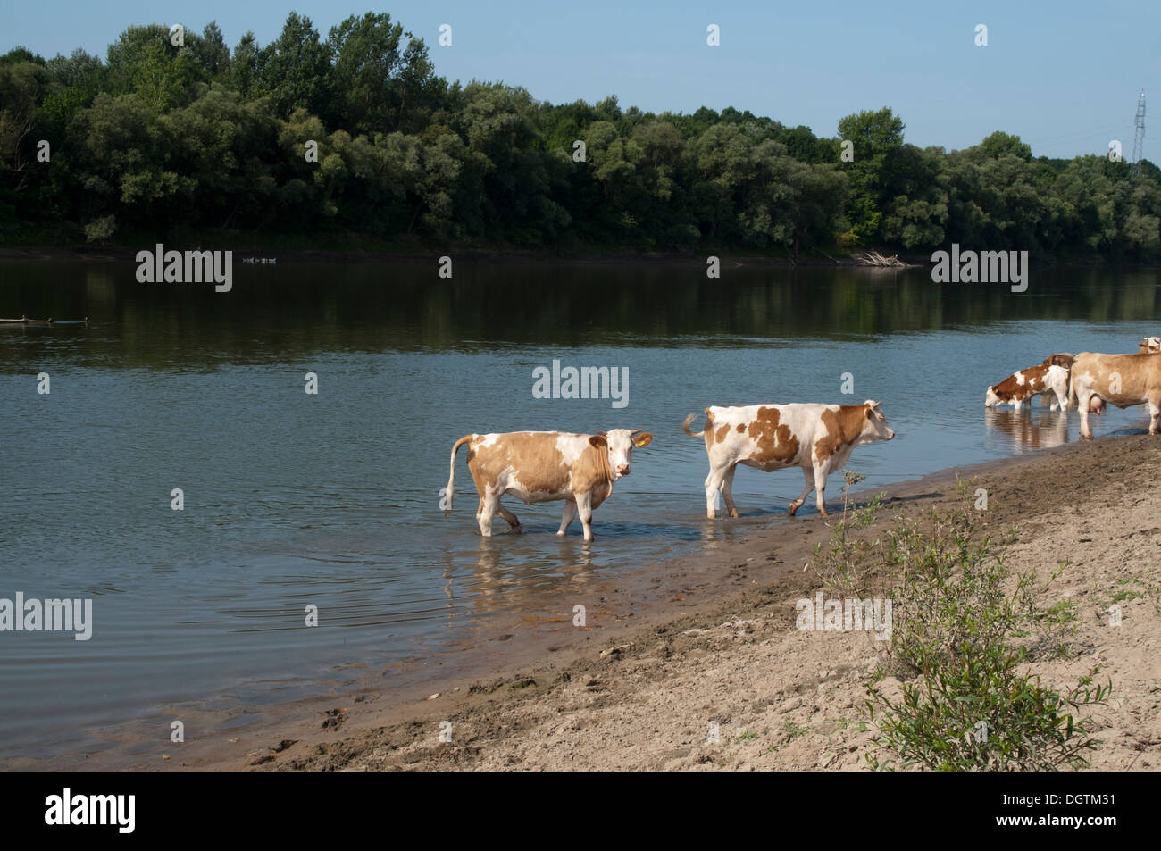 Traditional land use hi-res stock photography and images - Alamy