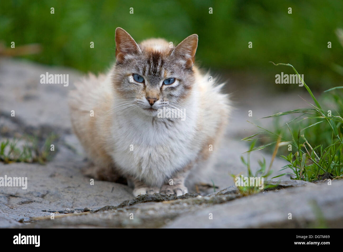 Mountains spain hi-res stock photography and images - Alamy