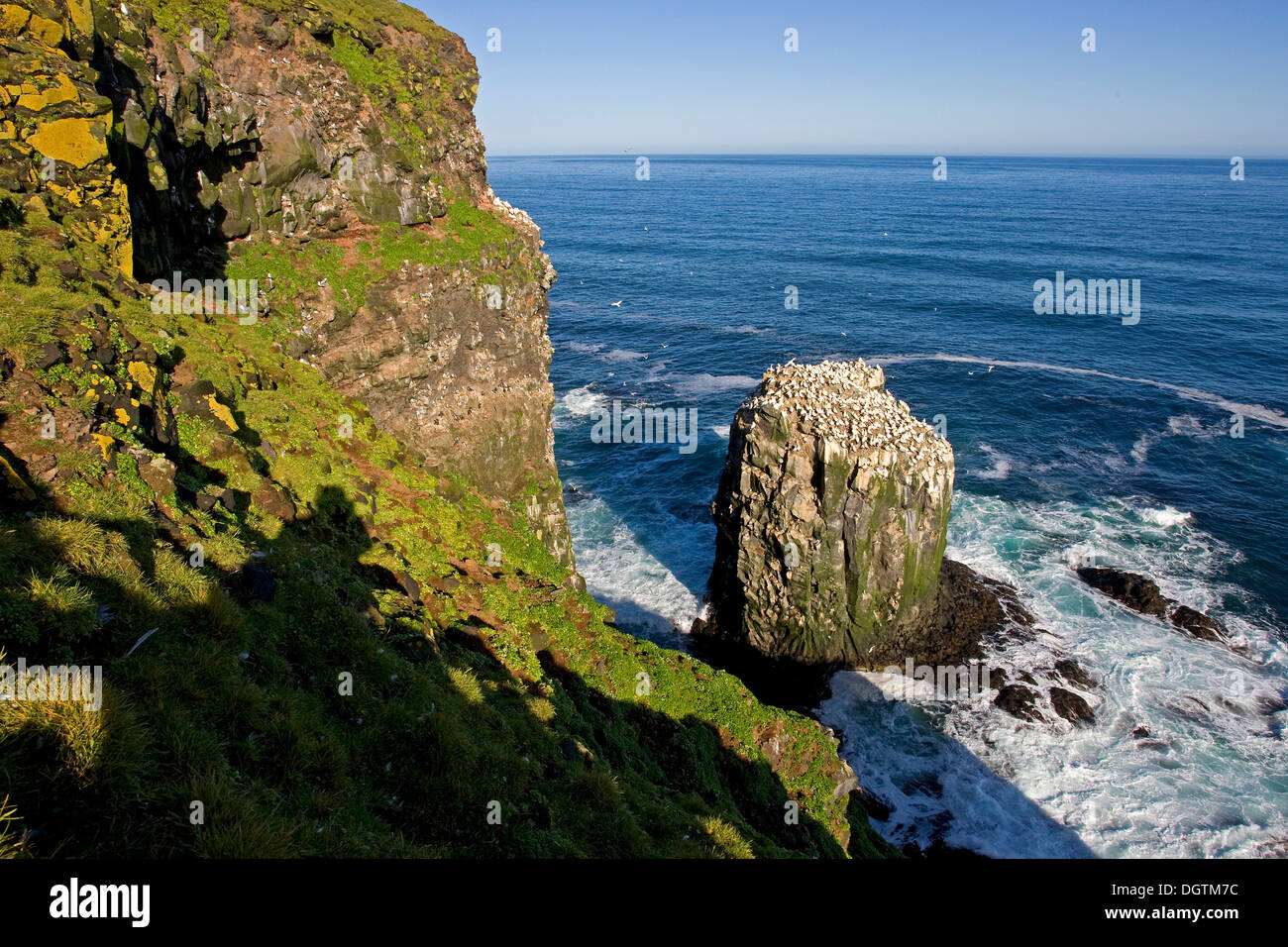 Langanes hi-res stock photography and images - Alamy