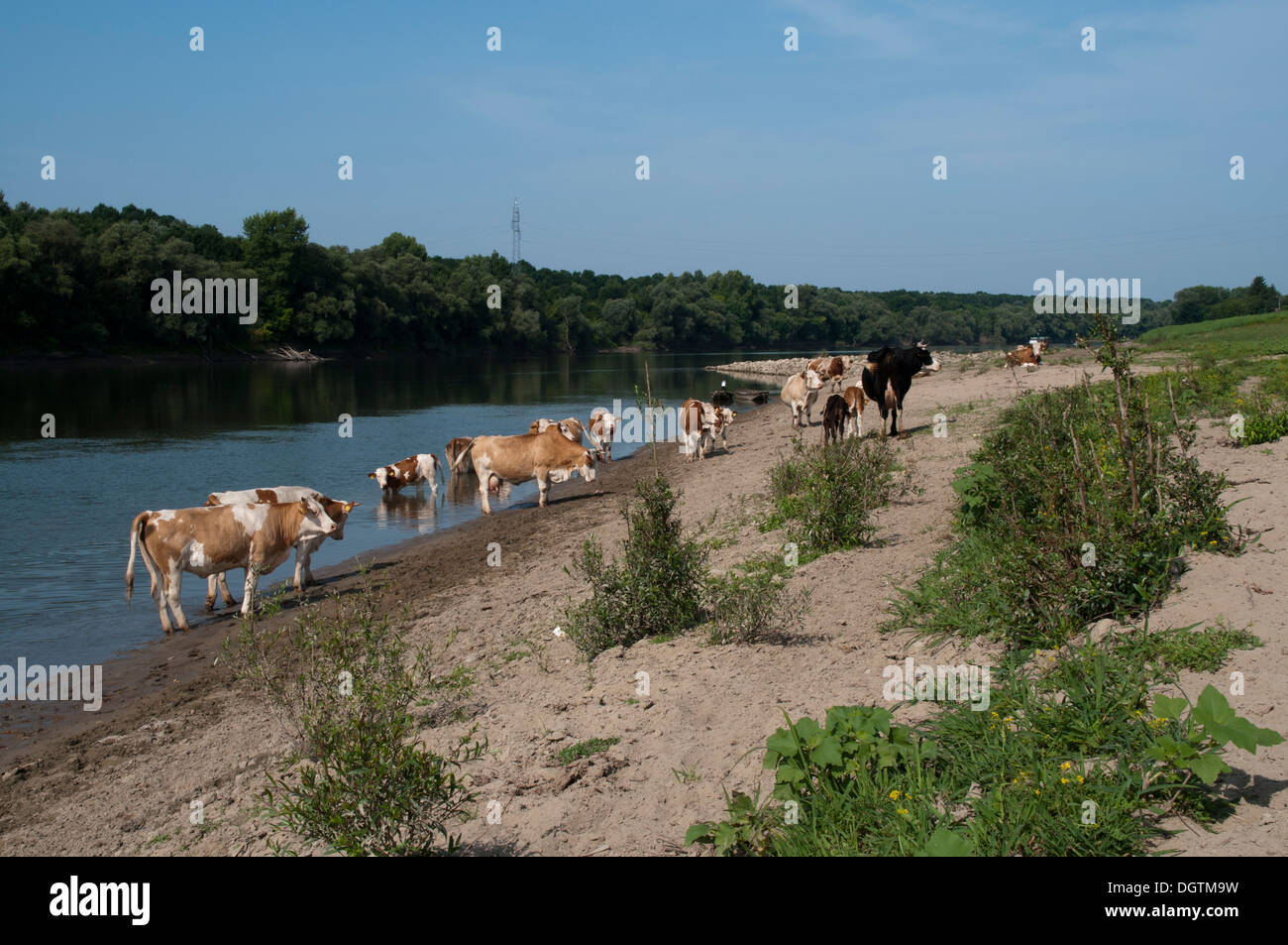 Save river hi-res stock photography and images - Alamy