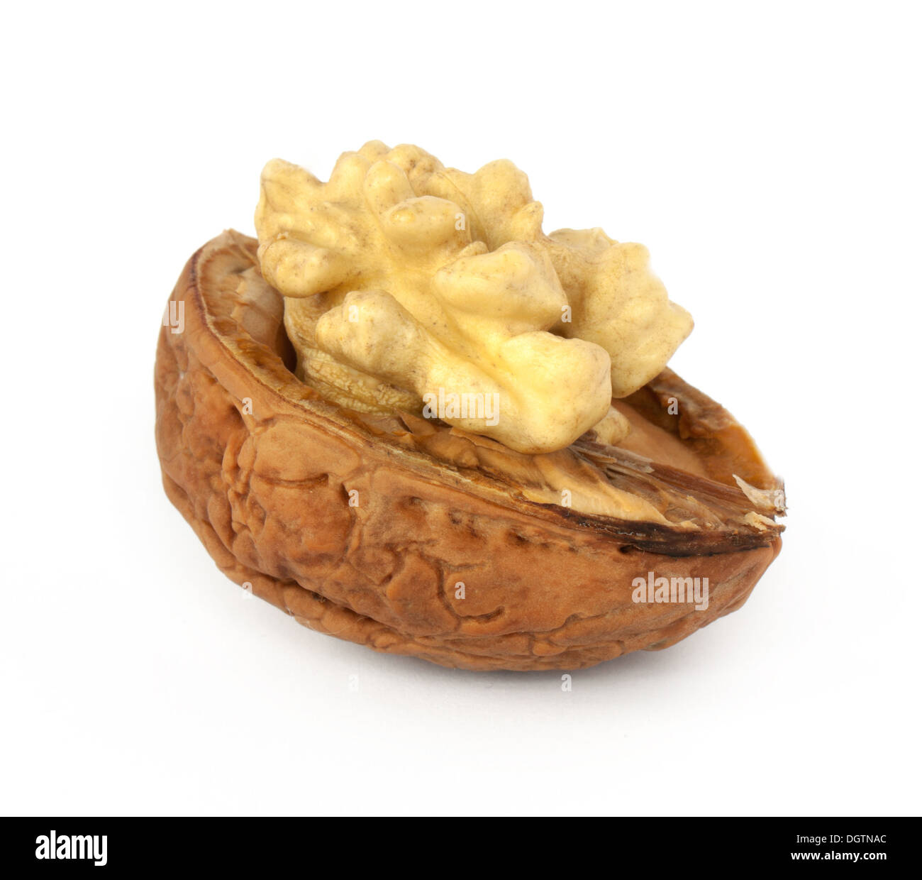 Walnut isolated on white background Stock Photo - Alamy
