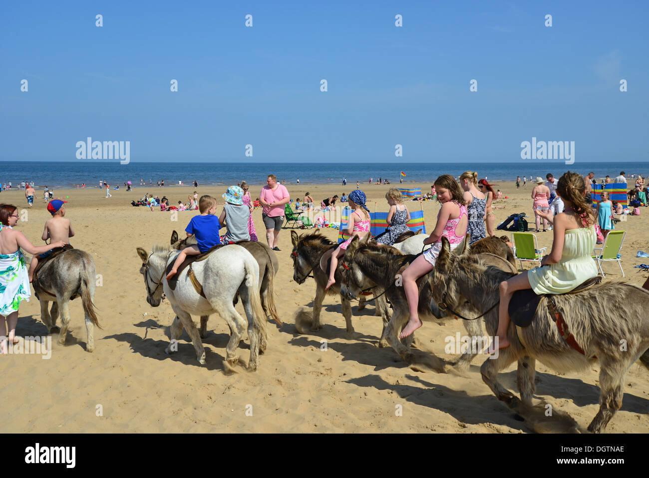 Seaside Donkey Rides Historical High Resolution Stock Photography and ...