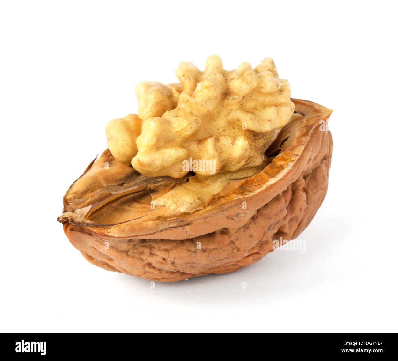 Walnut isolated on white background Stock Photo - Alamy