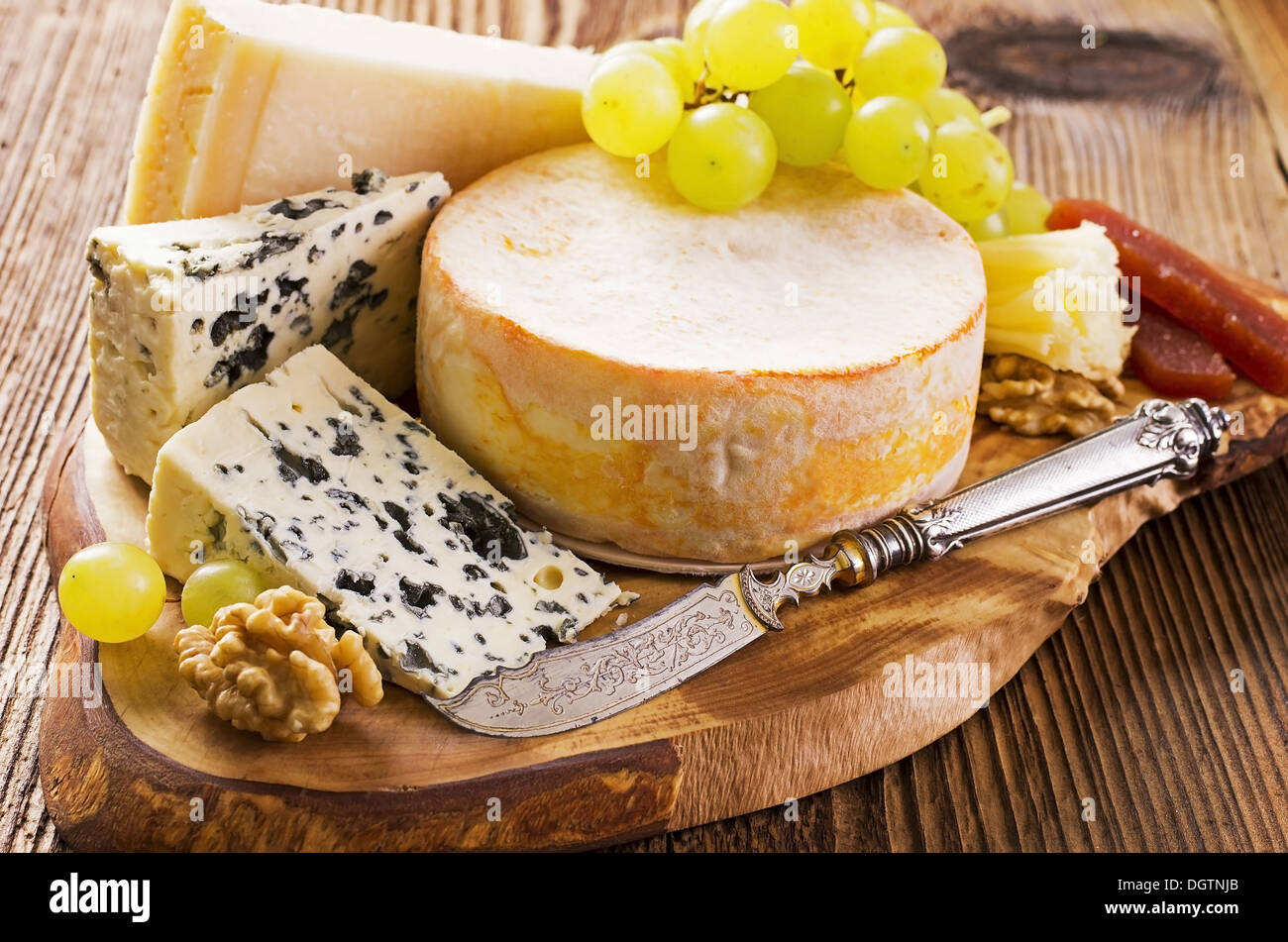 Penicillium mold plate hi-res stock photography and images - Alamy